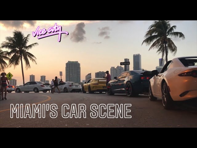 Miami’s Car Scene is Epic: Miami VLOG | MiamiCars.com